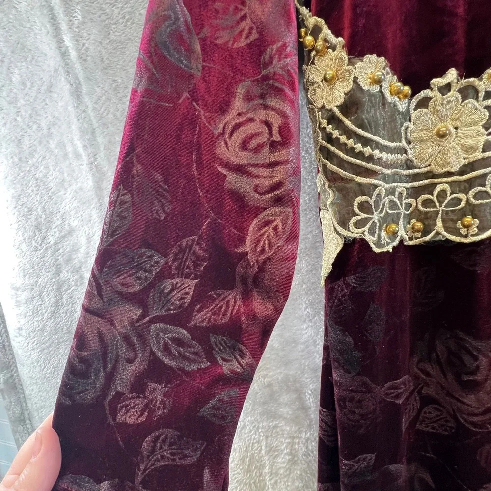 Catalina | Dresses | Catalina Ml Burgundy Velvet Floral Burnout Maxi ...